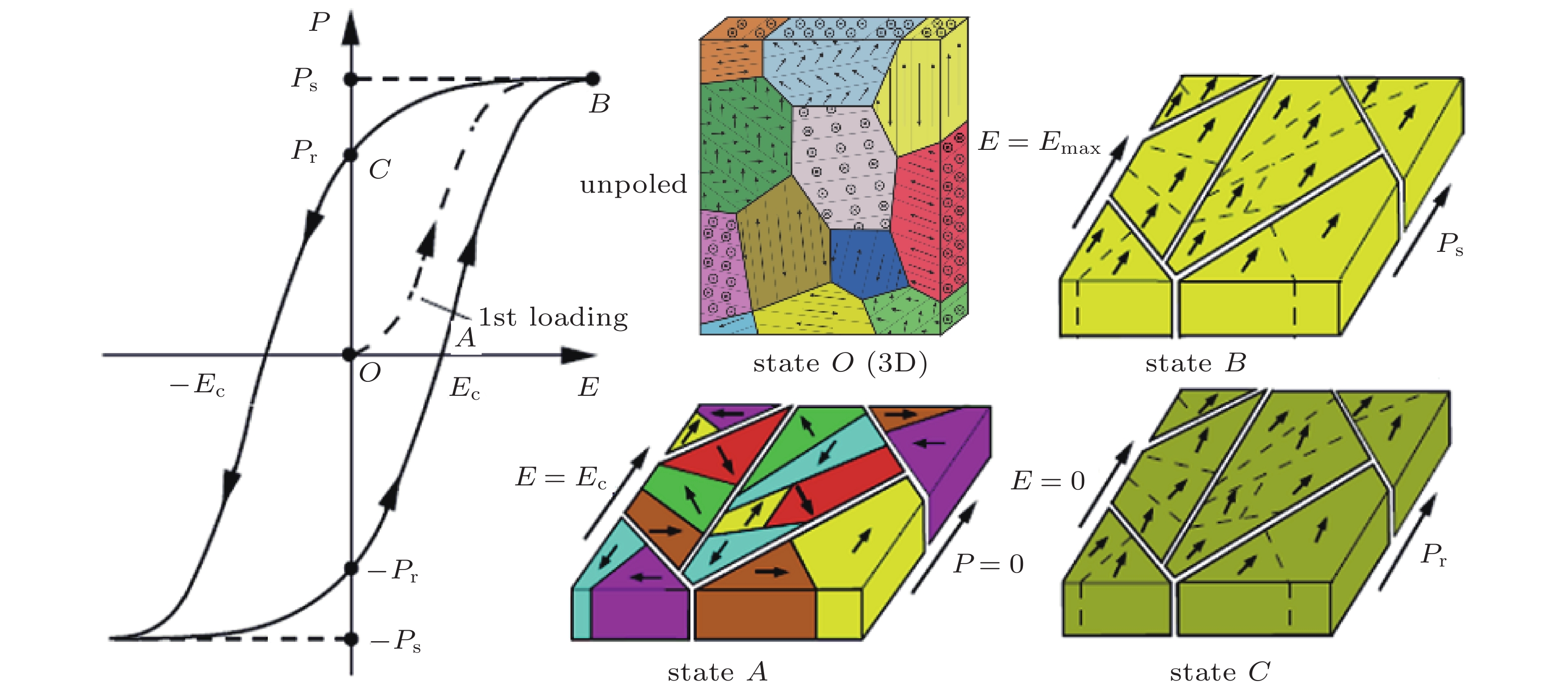铁电材料的疲劳失效行为