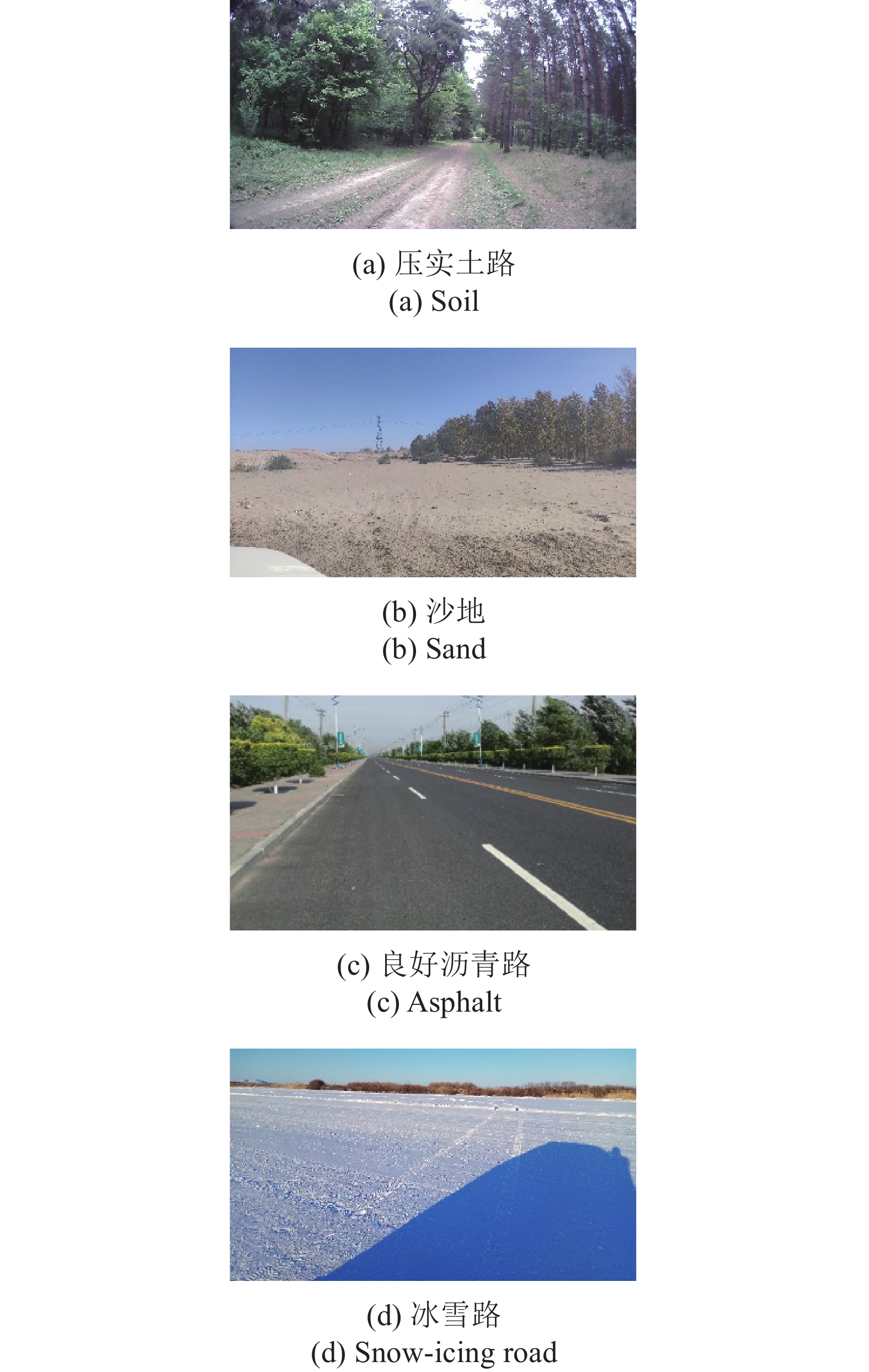 基于SHAP-RF框架的越野车辆路面识别算法研究