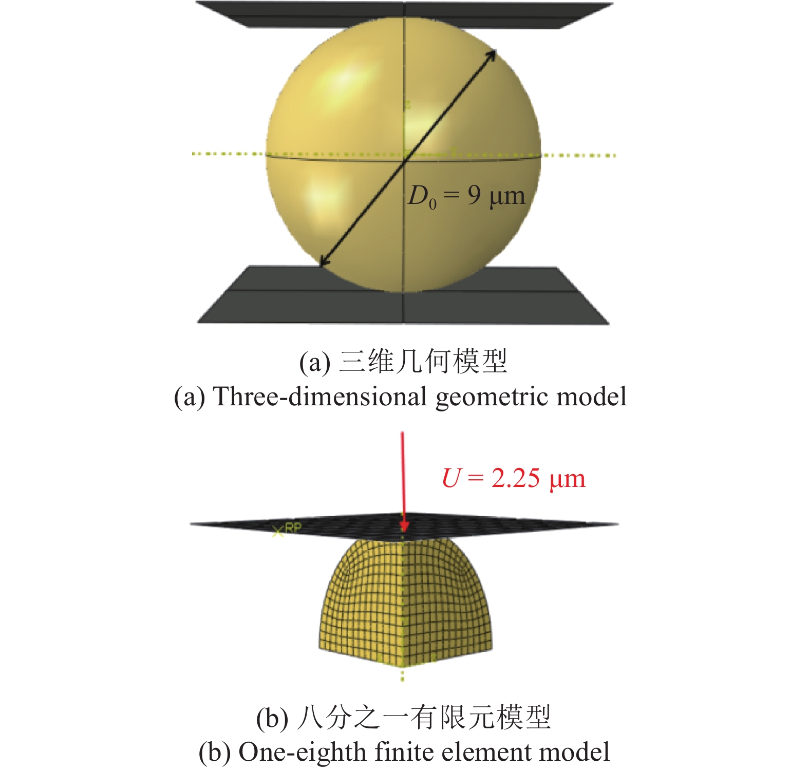 基于机器学习软骨细胞的时间依赖性力学行为及本构参数反演