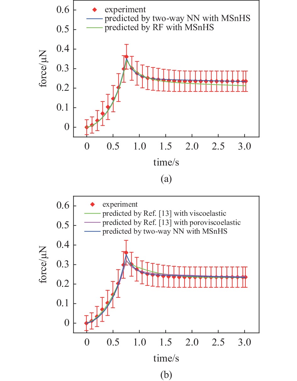 基于机器学习软骨细胞的时间依赖性力学行为及本构参数反演