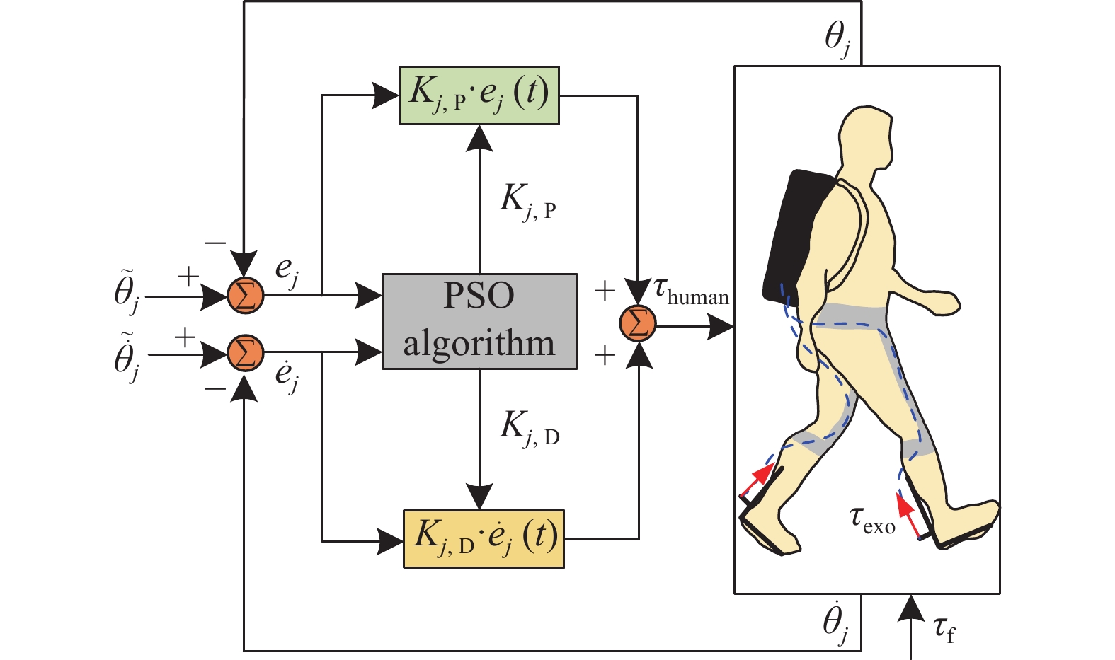 踝关节外骨骼人机耦合动力学与助力性能分析