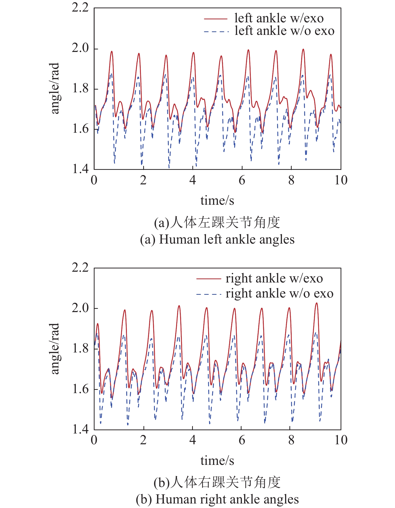 踝关节外骨骼人机耦合动力学与助力性能分析