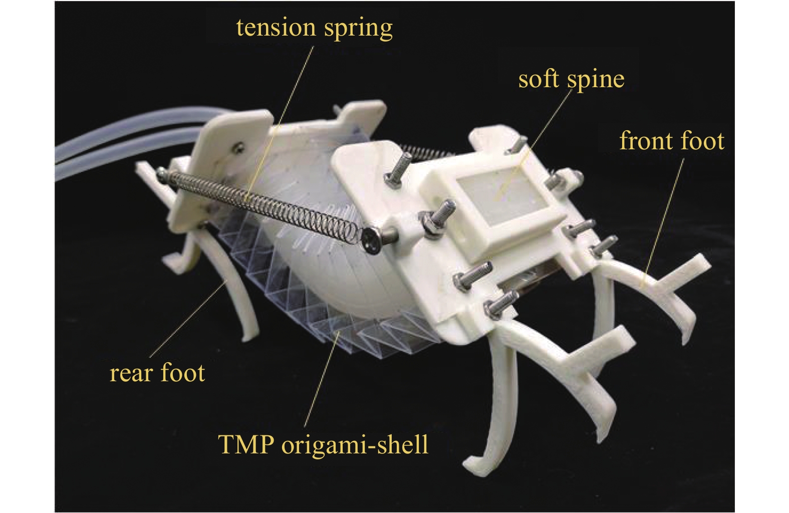 TMP折纸防护的双稳态软体机器人