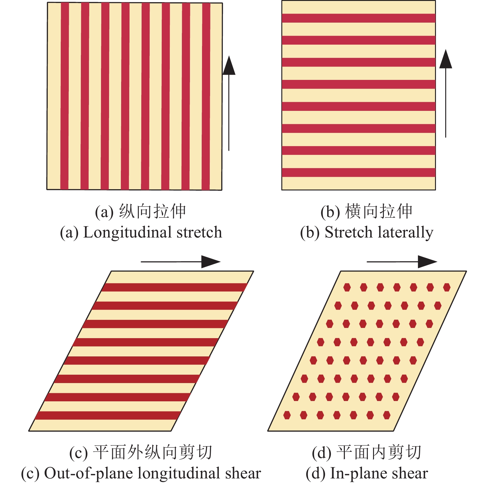 MULTI-SCALE MODELING AND SIMULATION OF SKELETAL MUSCLE BIOMECHANICAL ...