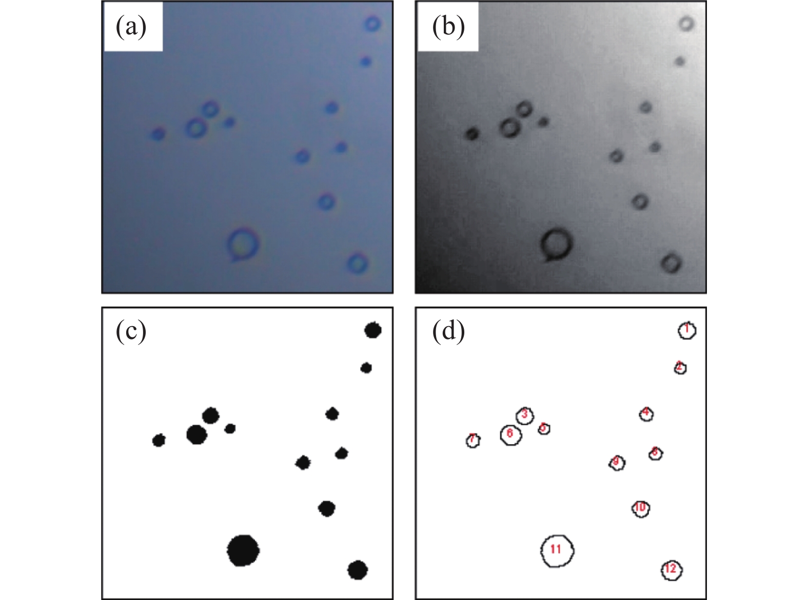 CO 2 微气泡溶解动力学及提高采收率机理研究