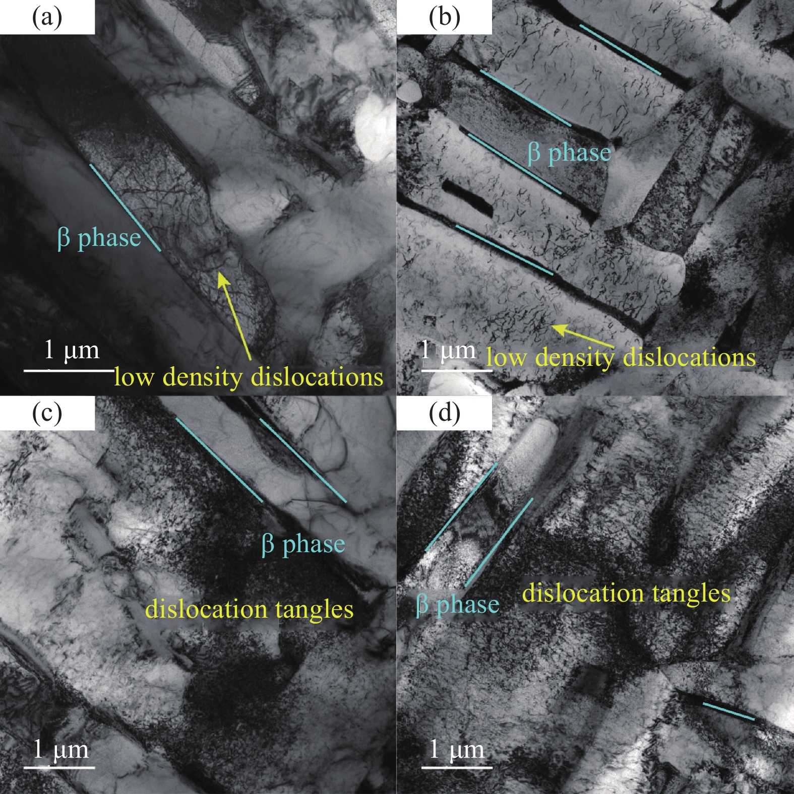 SHOCK COMPRESSION EQUATION OF STATE AND DYNAMIC DEFORMATION MECHANISM ...