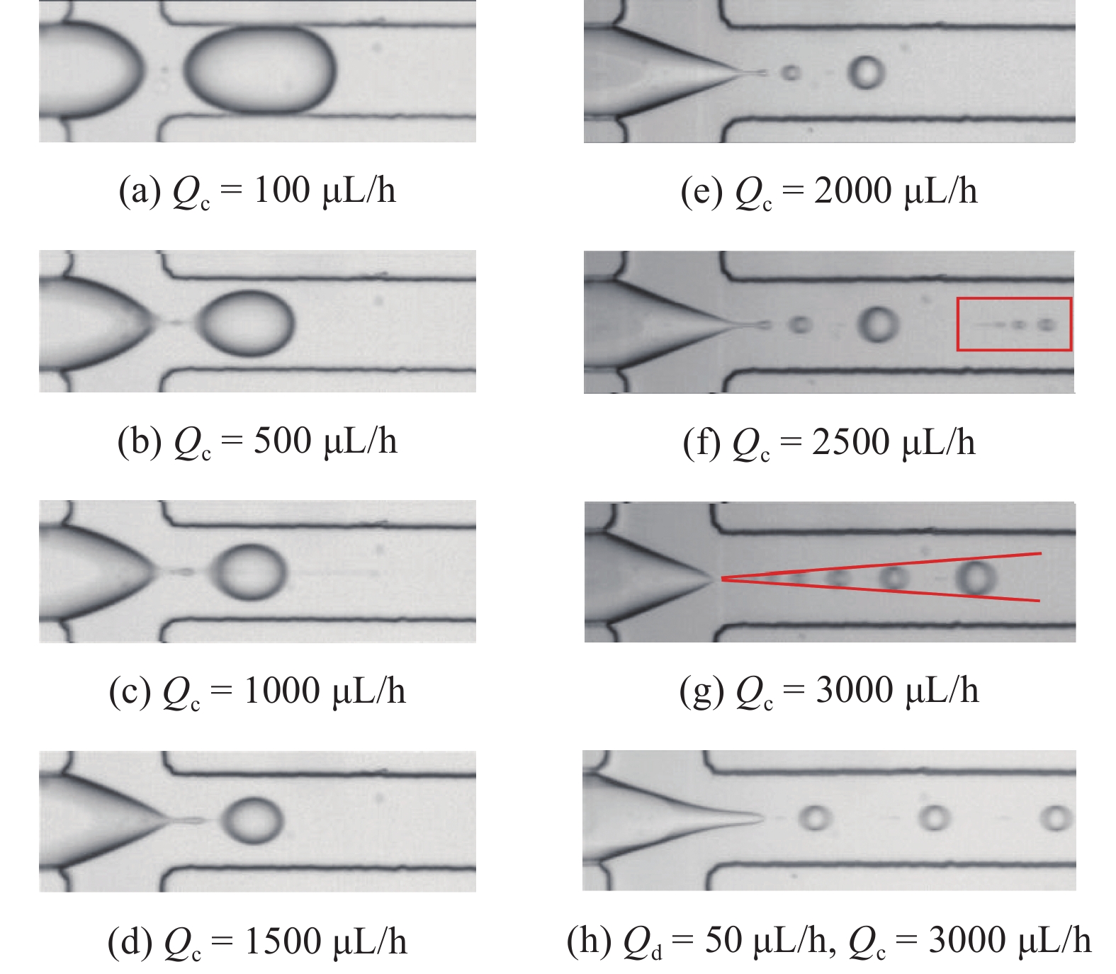 PARTICLE ENCAPSULATION AND DETECTION BASED ON NON-NEWTONIAN MICRODROPLETS