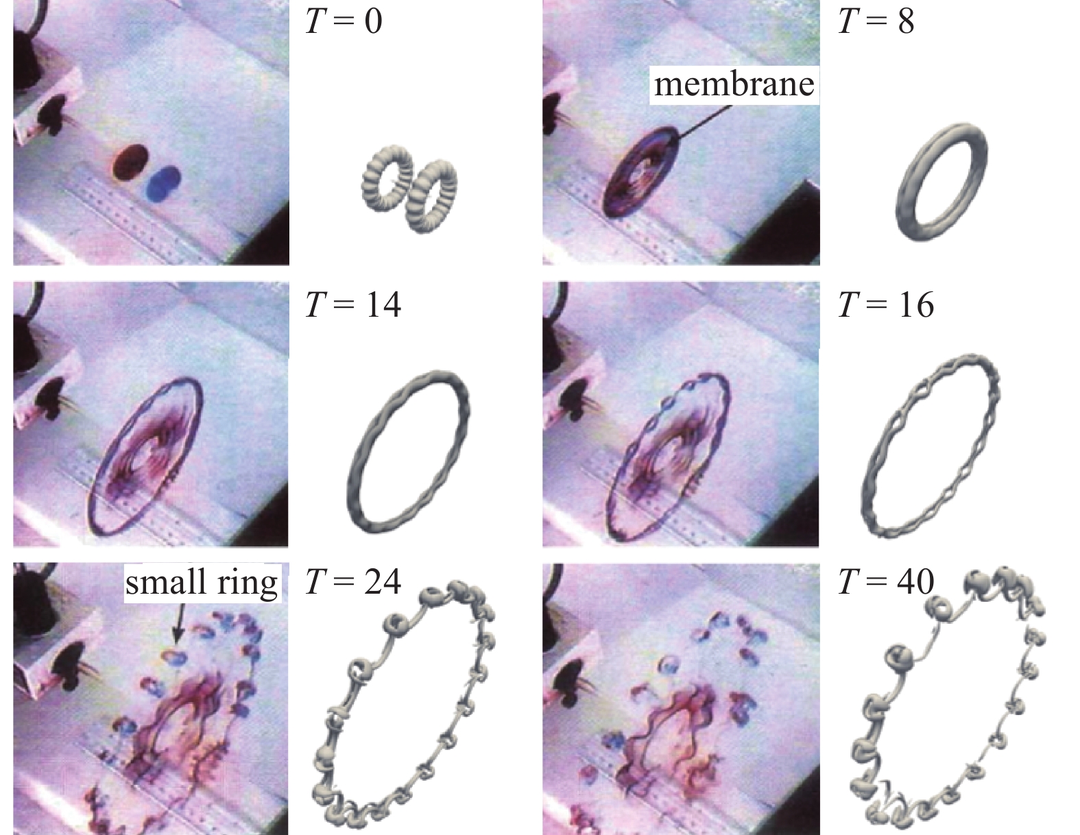 VORTEX STRUCTURE ANALYSIS OF VORTEX RING COLLISION PROCESS BASED ON DIRECT NUMERICAL SIMULATION