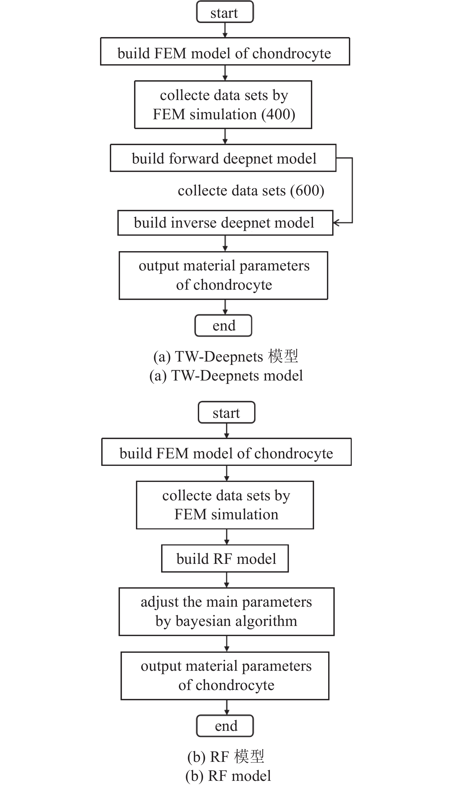 基于机器学习软骨细胞的时间依赖性力学行为及本构参数反演