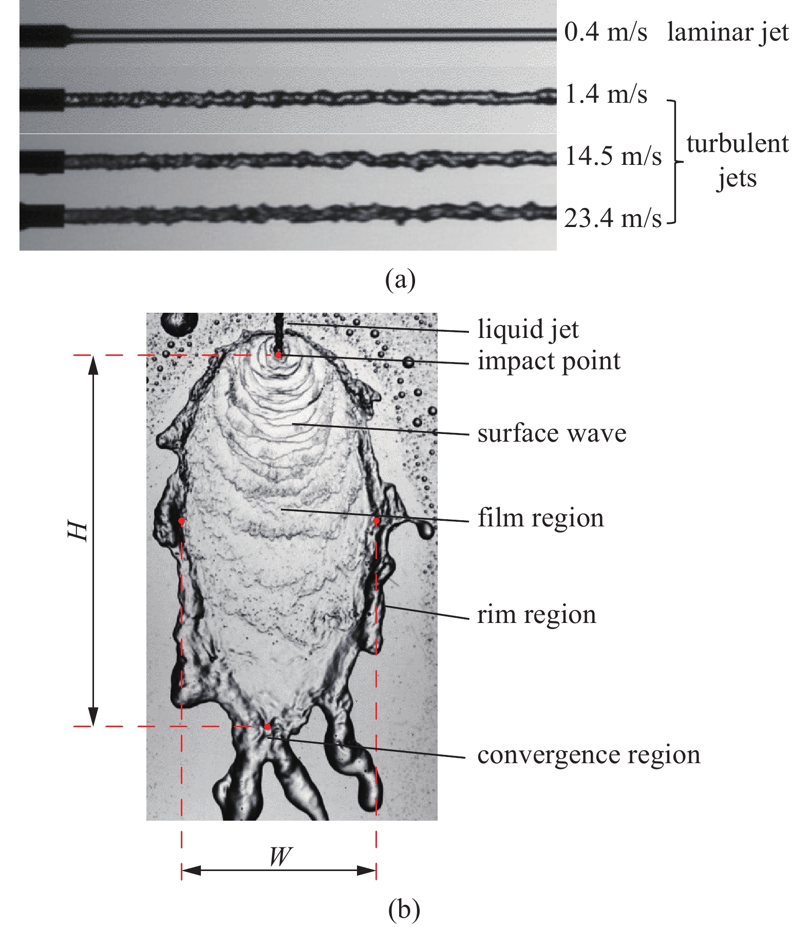 SPREADING MORPHOLOGIES AND FLUCTUATION CHARACTERISTICS OF LIQUID FILM ...