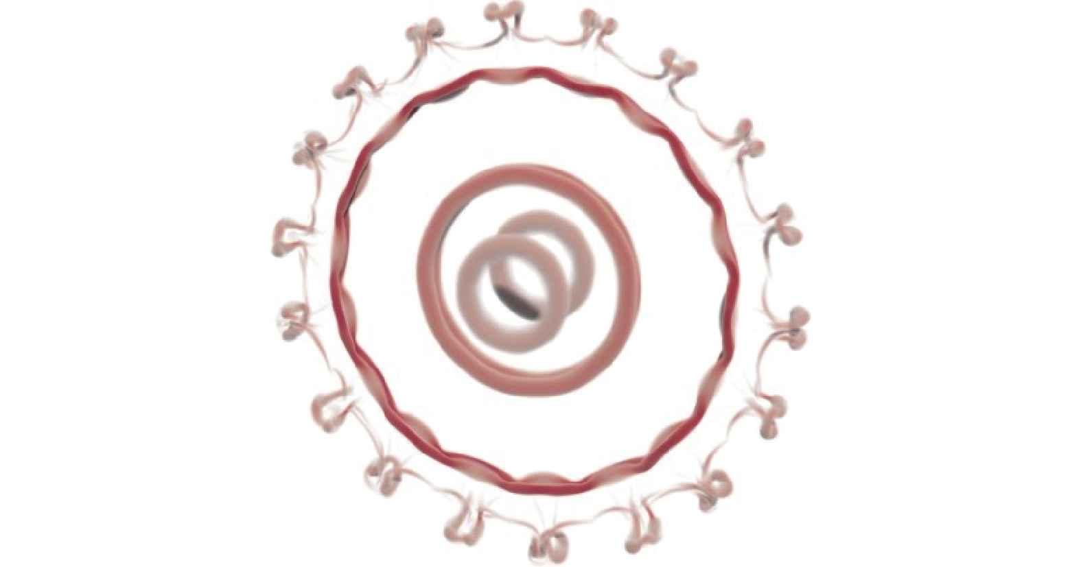 VORTEX STRUCTURE ANALYSIS OF VORTEX RING COLLISION PROCESS BASED ON DIRECT NUMERICAL SIMULATION