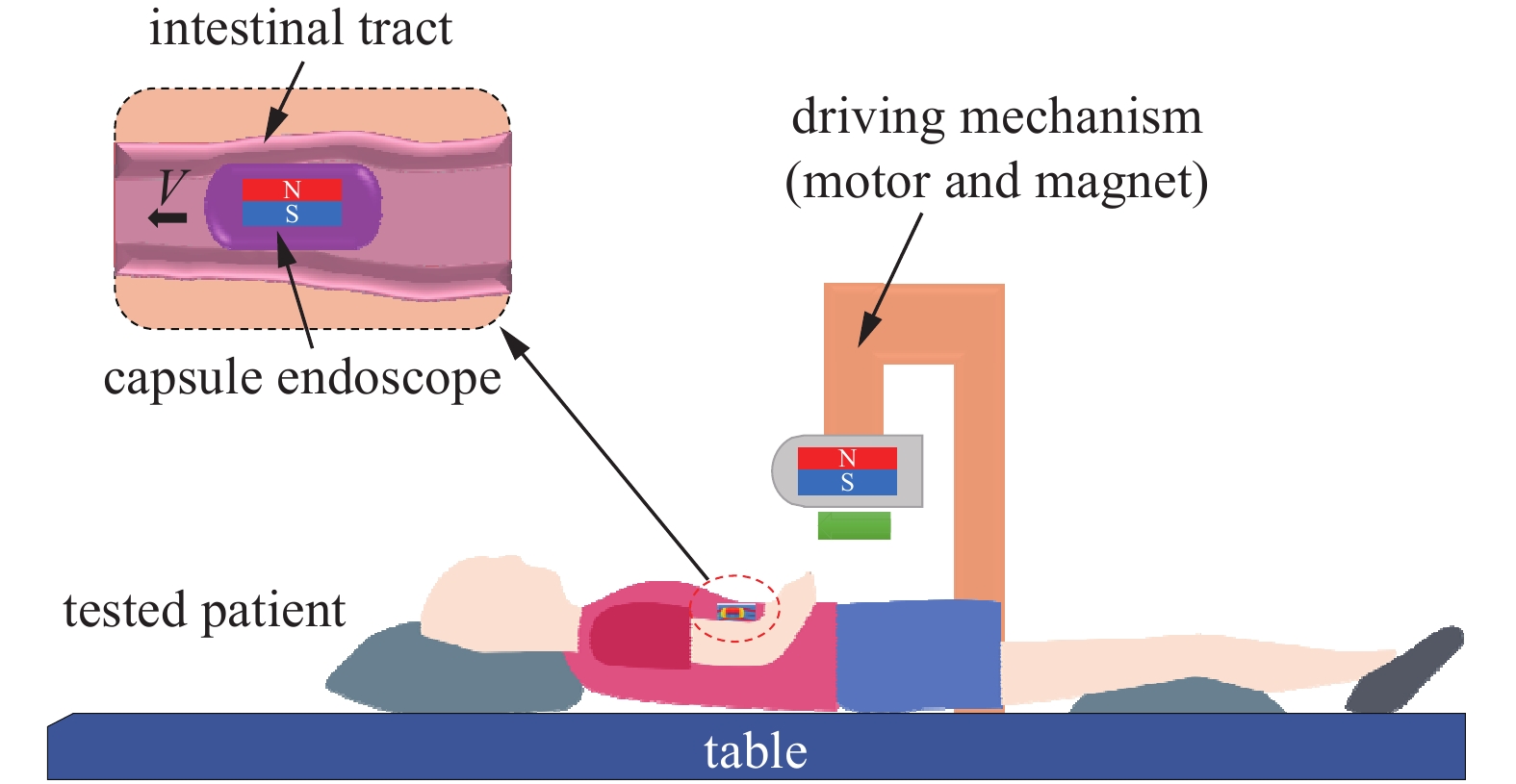 磁驱胶囊机器人在弯曲小肠内摩擦阻力建模