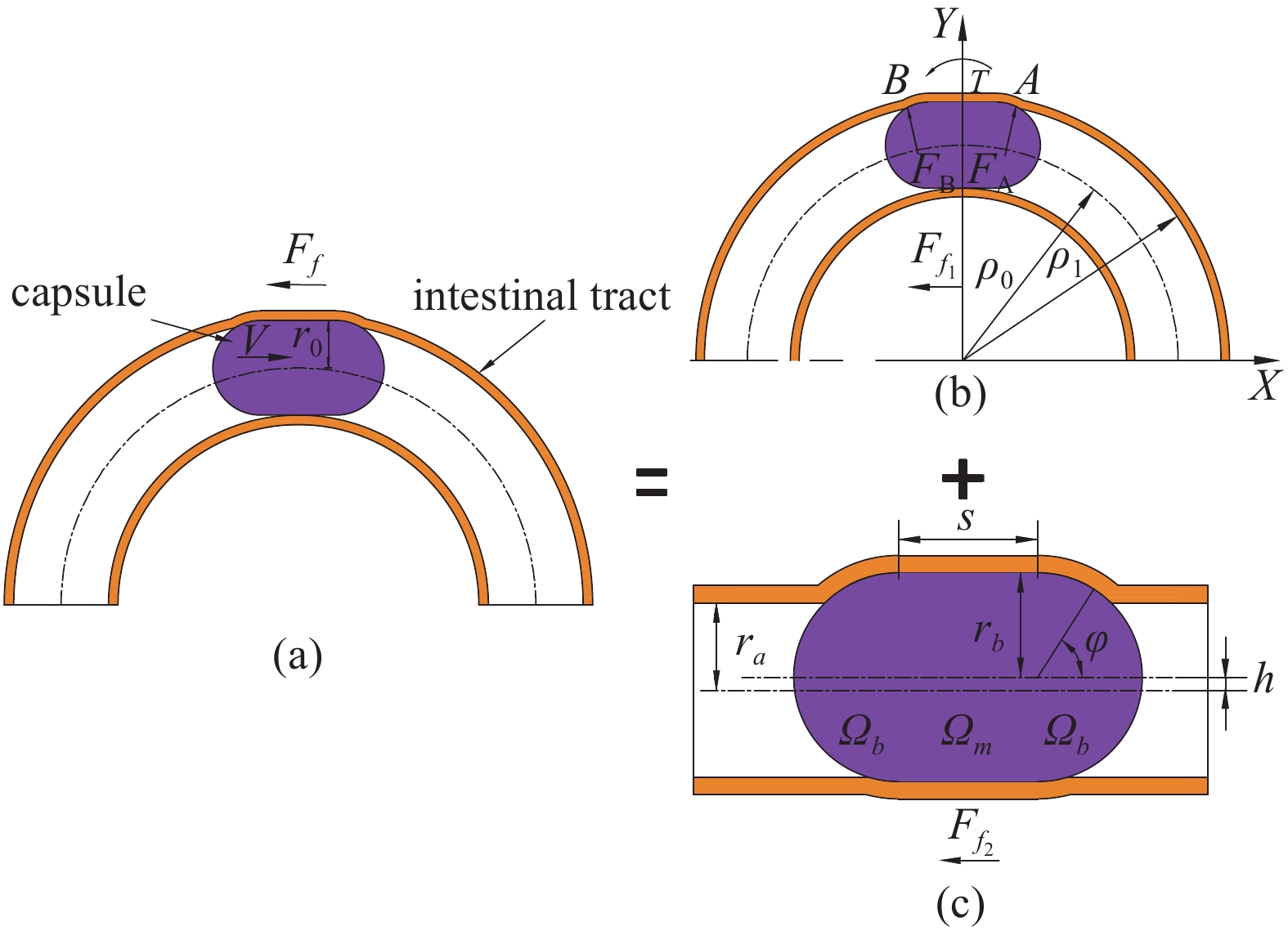 磁驱胶囊机器人在弯曲小肠内摩擦阻力建模