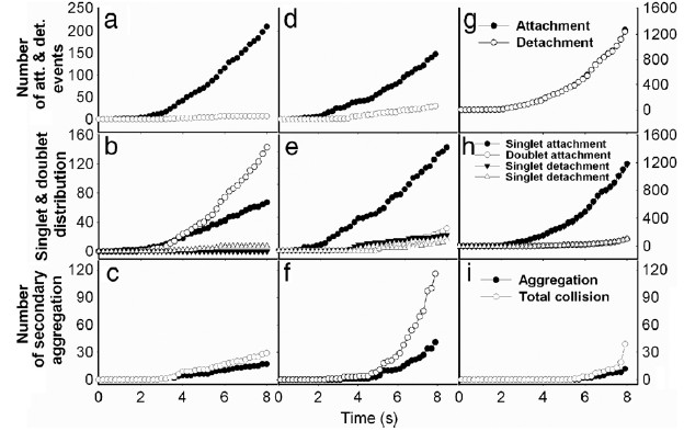 Combined modeling of cell aggregation and adhesion mediated by receptor ...