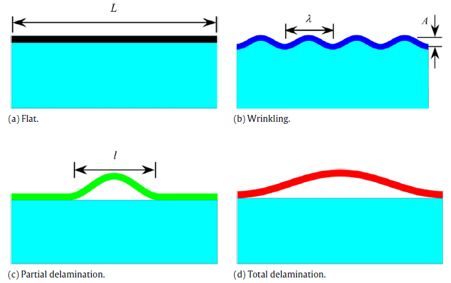 Adhesion-governed buckling of thin-film electronics on soft tissues