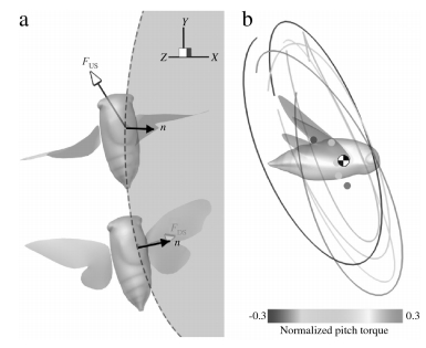 Cicada( Tibicen linnei ) steers by force vectoring