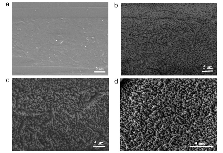 Fabrication of nanoscale speckle using broad ion beam milling on ...