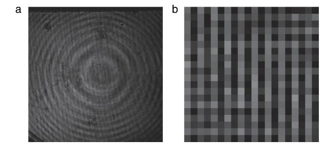 Instantaneous phase-stepping interferometry based on a pixelated micro-polarizer array