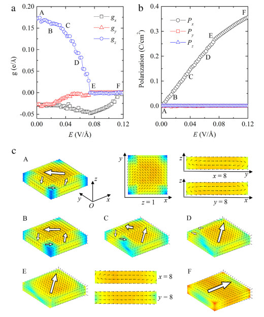 Shape-induced phase transition of vortex domain structures in ...