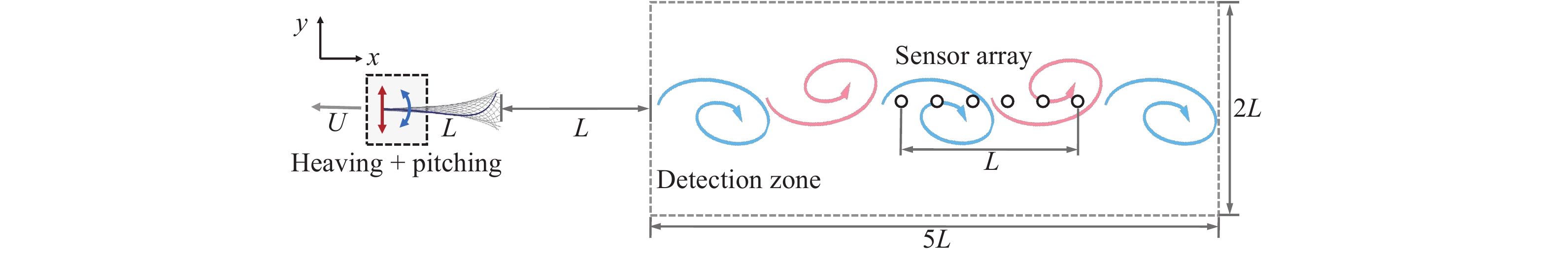 Classifying wakes produced by self-propelled fish-like swimmers using neural networks