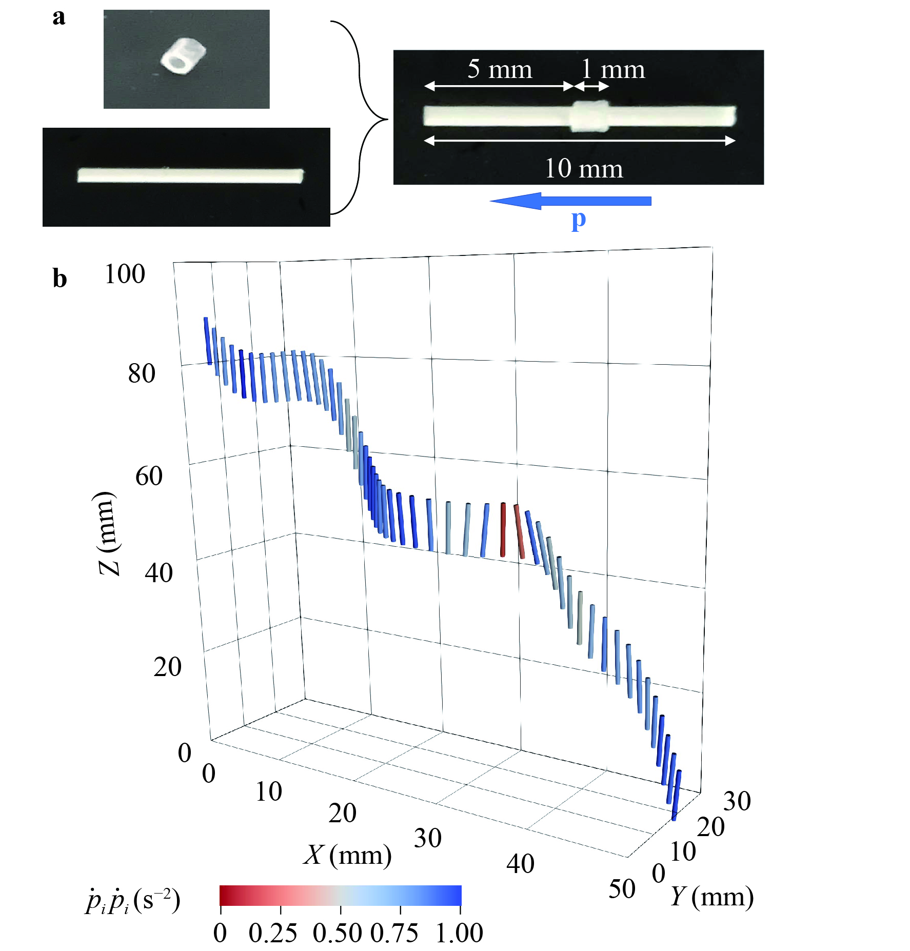 Rotational dynamics of bottom-heavy rods in turbulence from experiments ...