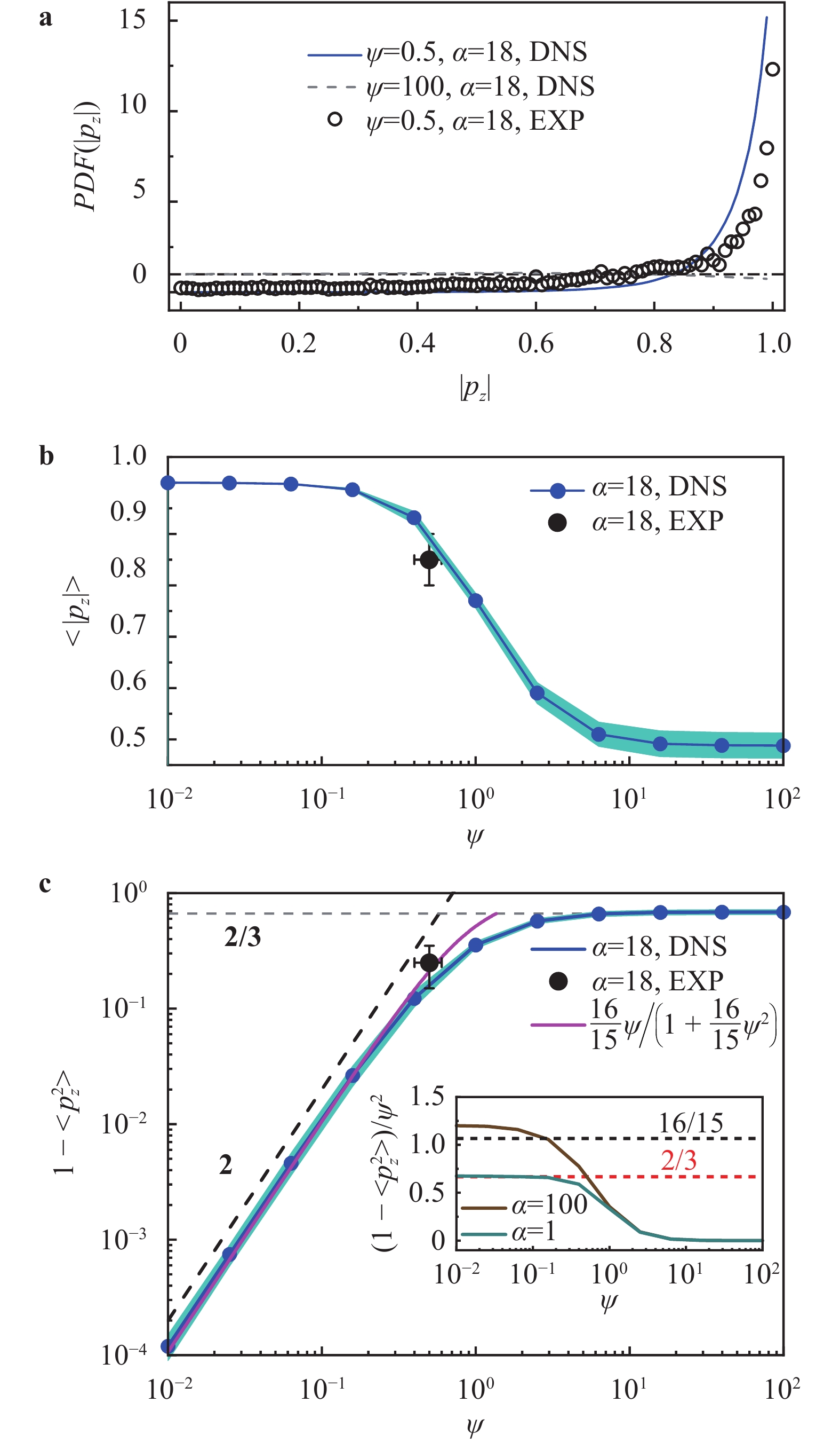 Rotational dynamics of bottom-heavy rods in turbulence from experiments ...