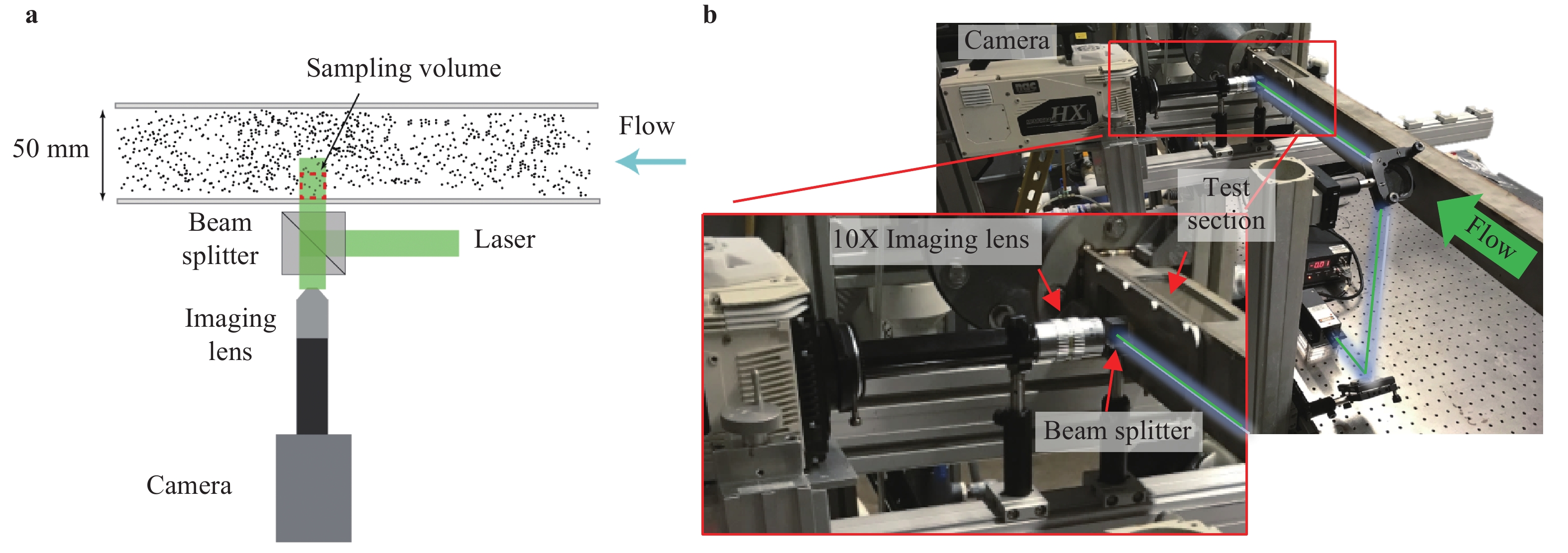 Meandering motions within the viscous sublayer: Supplementary materials