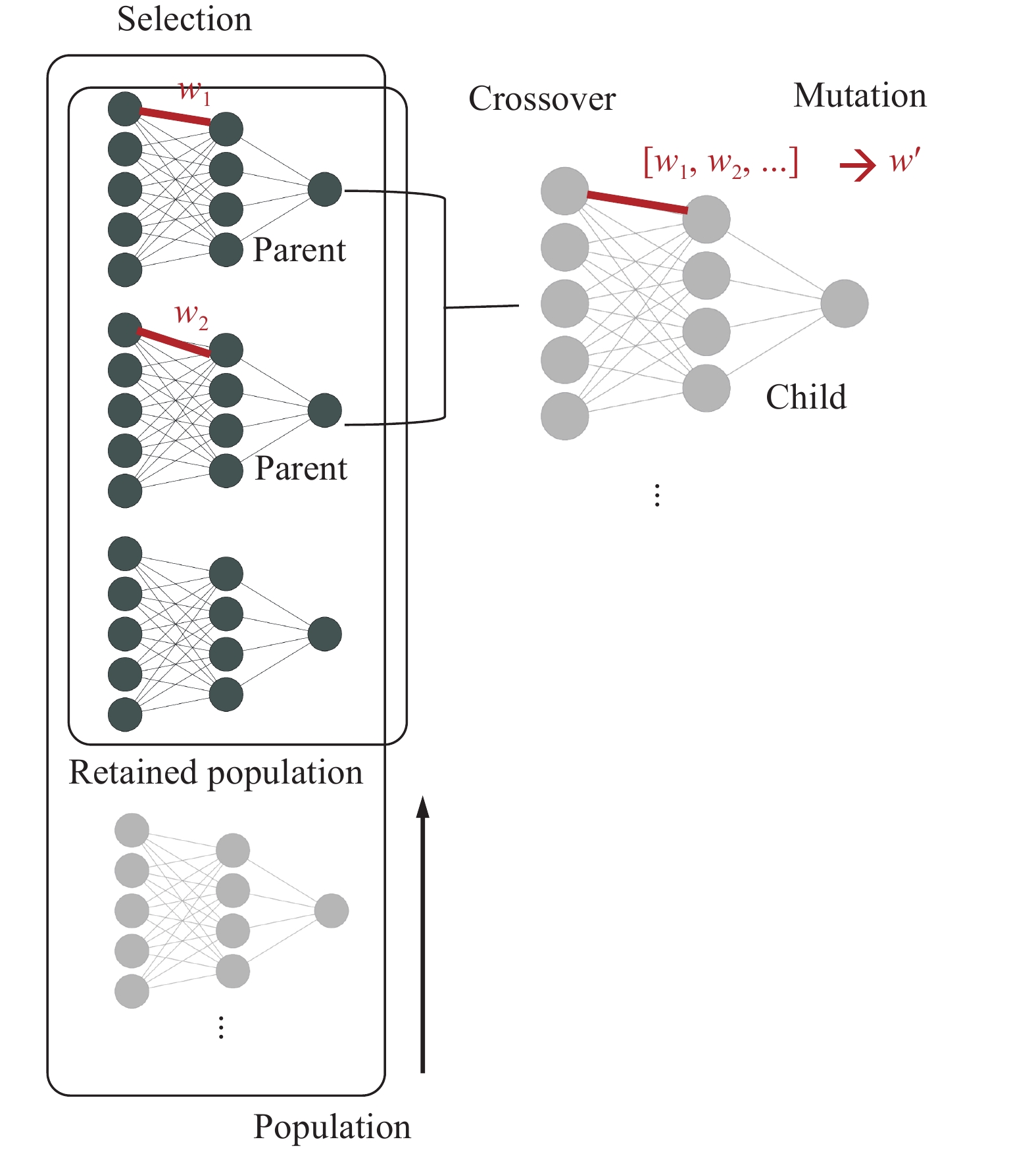 Neuroevolution-enabled adaptation of the Jacobi method for Poisson’s ...